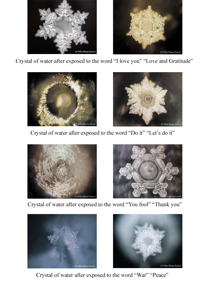 What is EMOTO PEACE PROJECT?